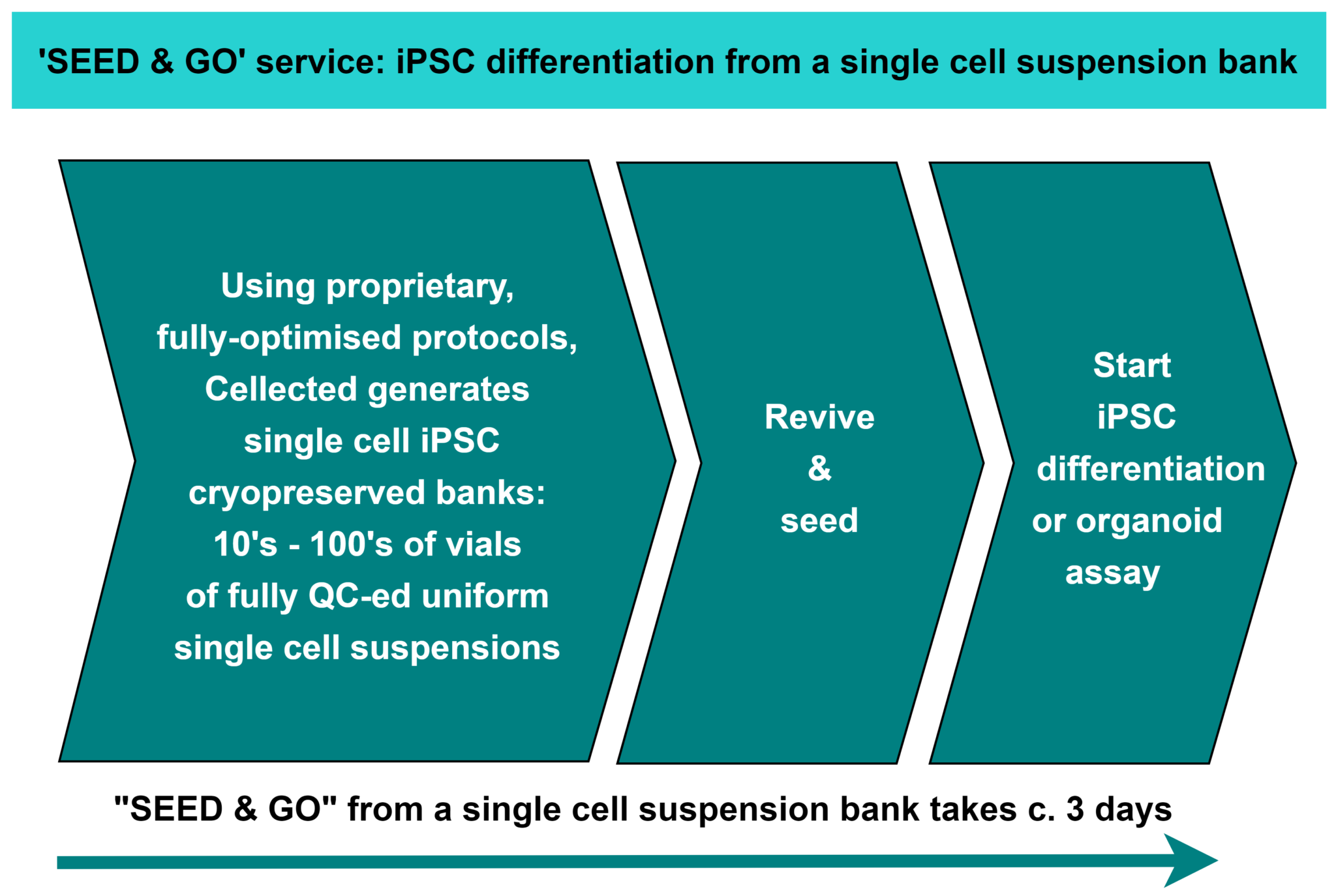 SEED & GO: iPSCs - Cellected